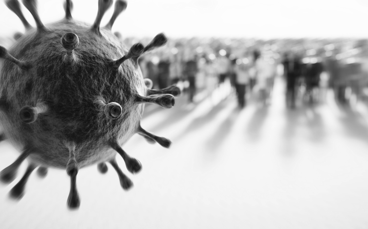 2019-2020 Annual Report: The Shadow Pandemic of Domestic Violence ...