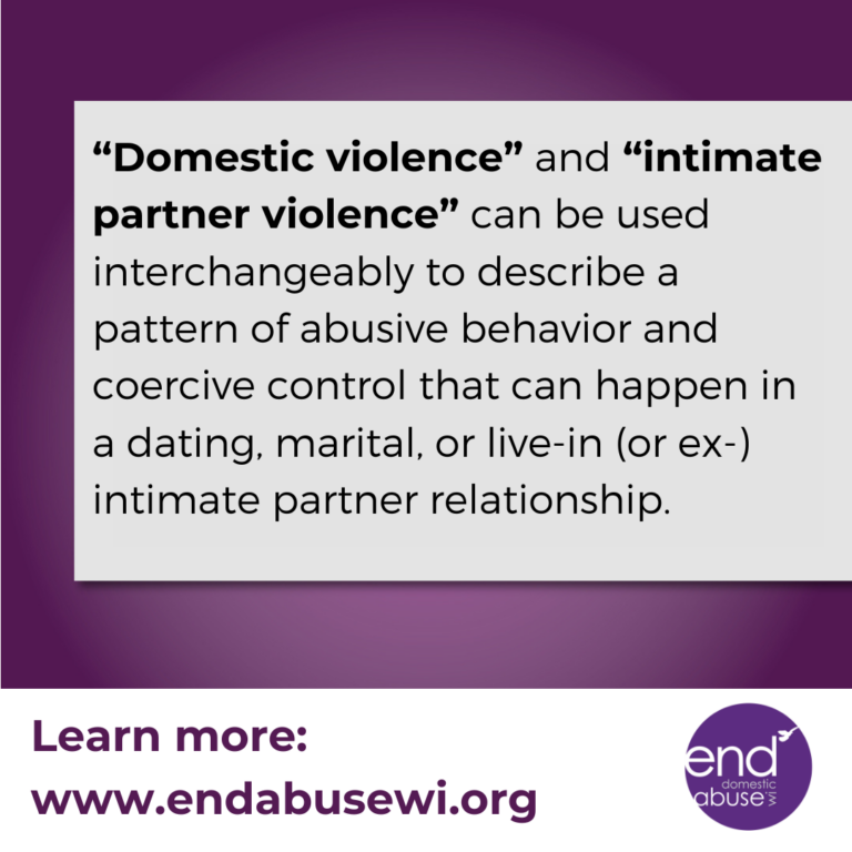 Domestic Violence 101 - End Domestic Abuse Wisconsin