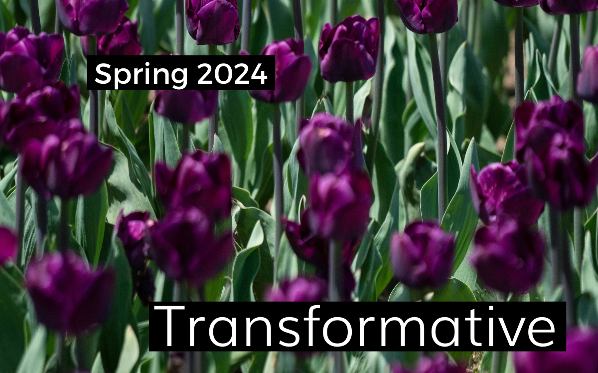 Newly Released: Transformative – Spring 2024 - End Domestic Abuse Wisconsin